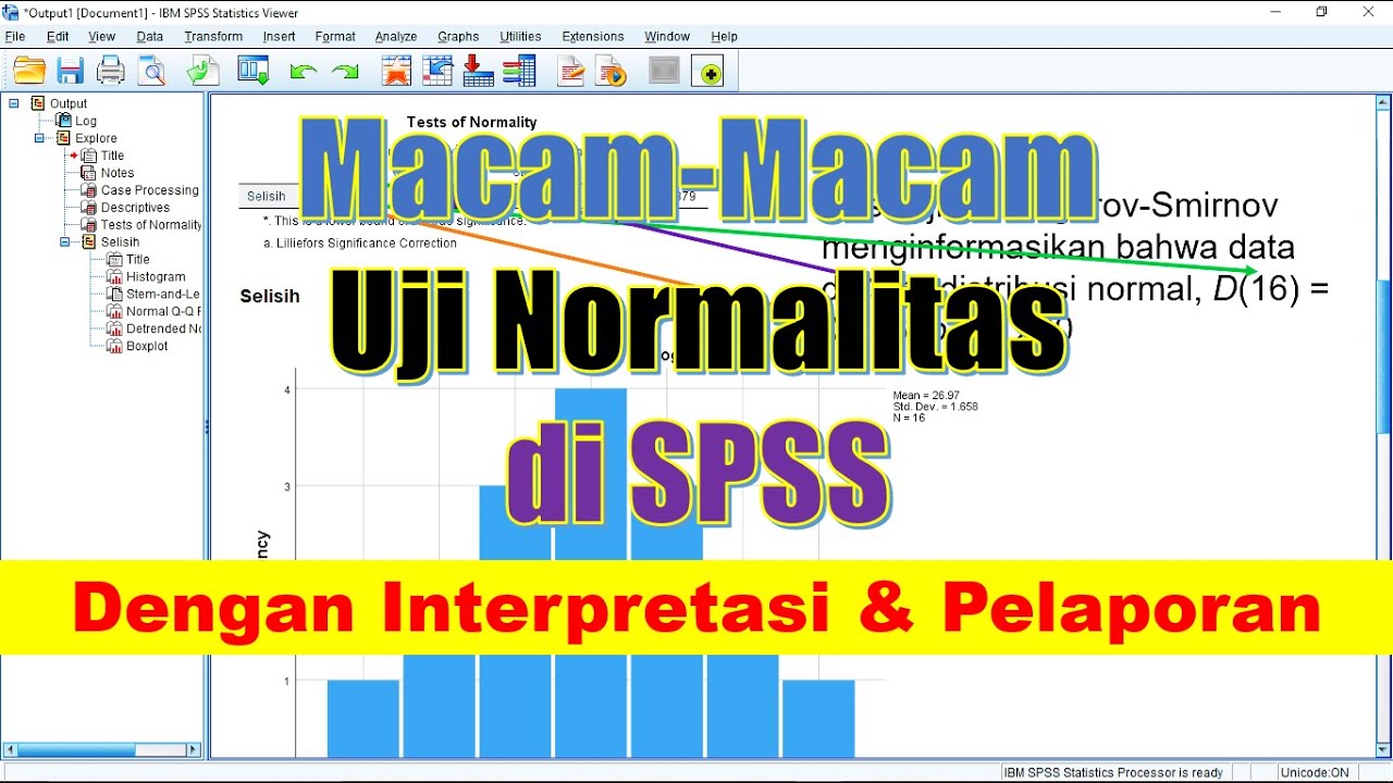 Macam-macam Uji Normalitas SPSS! Pahami Output & Interpretasi untuk ...
