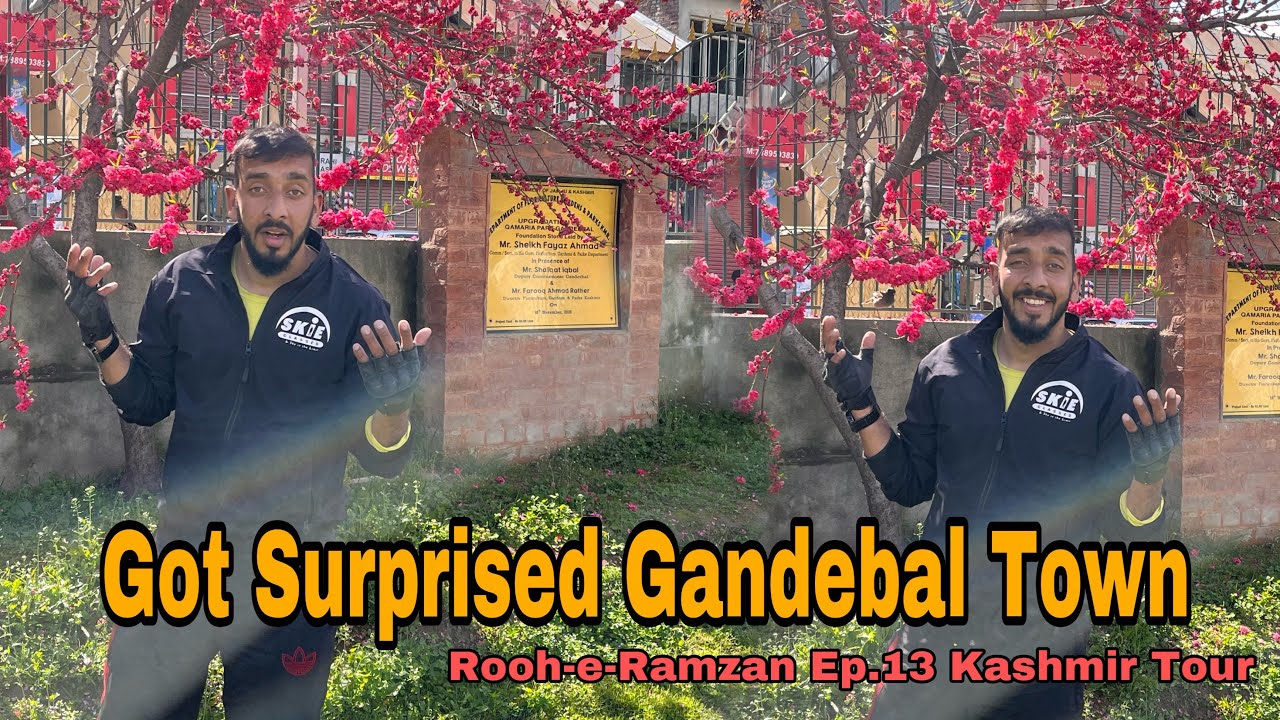 Got Surprised By Visiting Ganderbal Town |Ep13 | Wanitalks - YouTube
