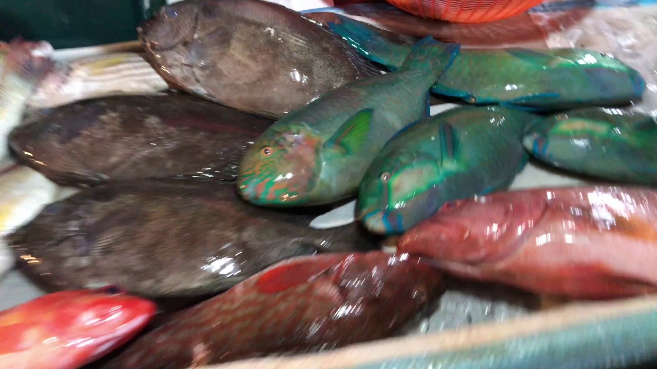 D' Talipapa seafood and fish market Boracay (Рыбный рынок на Острове ...