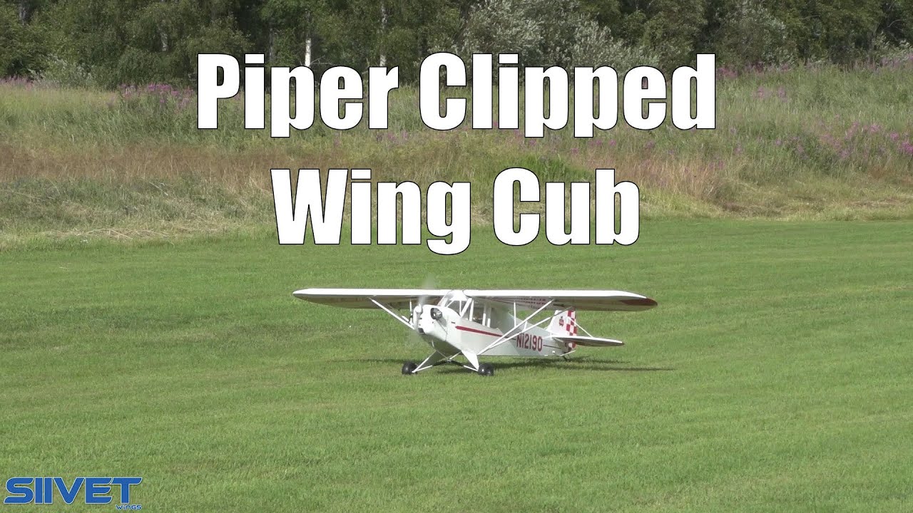 Piper Clipped Wing Cub 1:4 RC Scale Model - Kansanscale Class 2nd ...