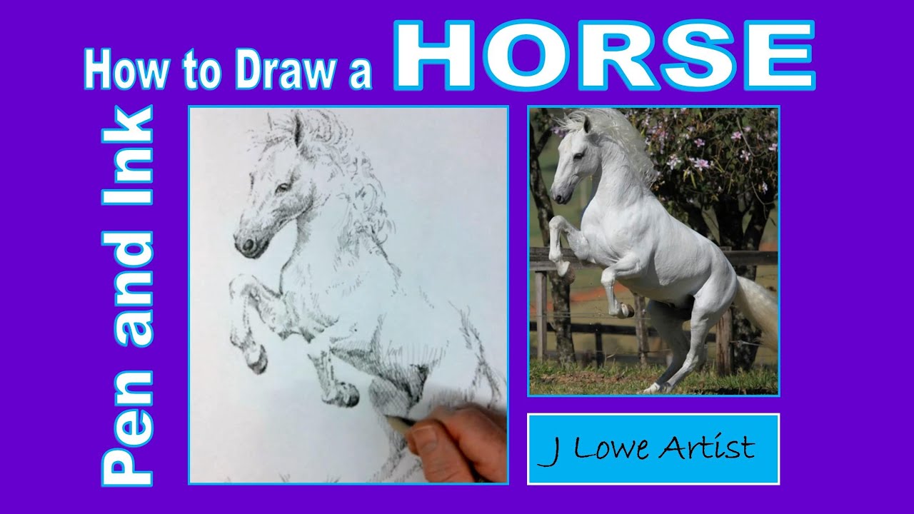HOW TO DRAW A HORSE WITH PEN AND INK - YouTube