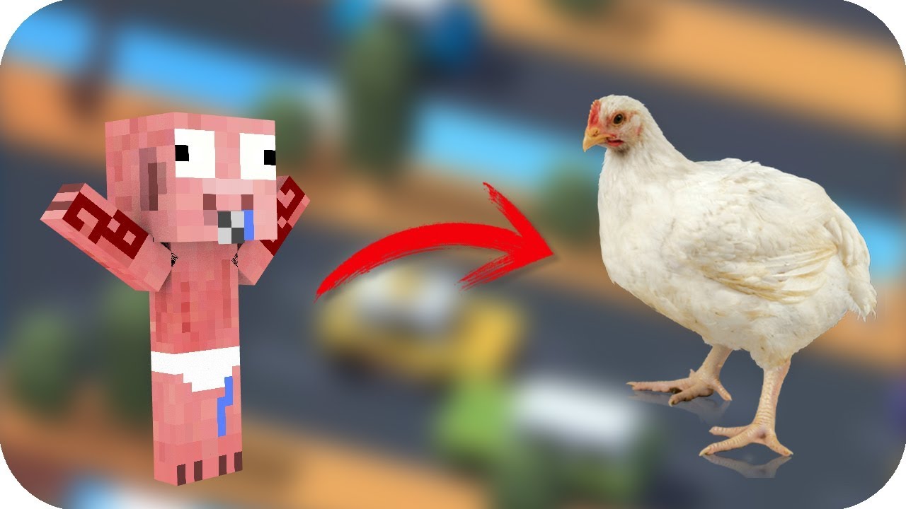 BEBE AENH SE CONVIERTE EN GALLINA - AENH CROSSY ROAD - YouTube