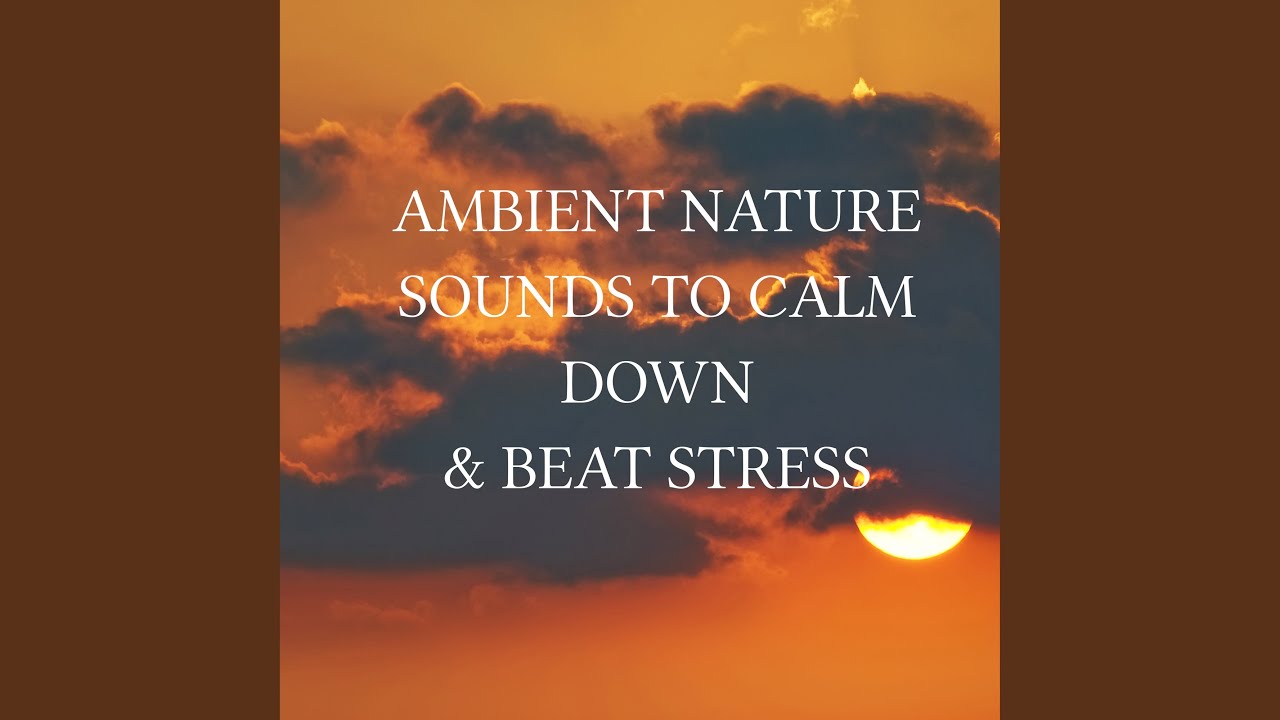 Calm Yourself Down - YouTube