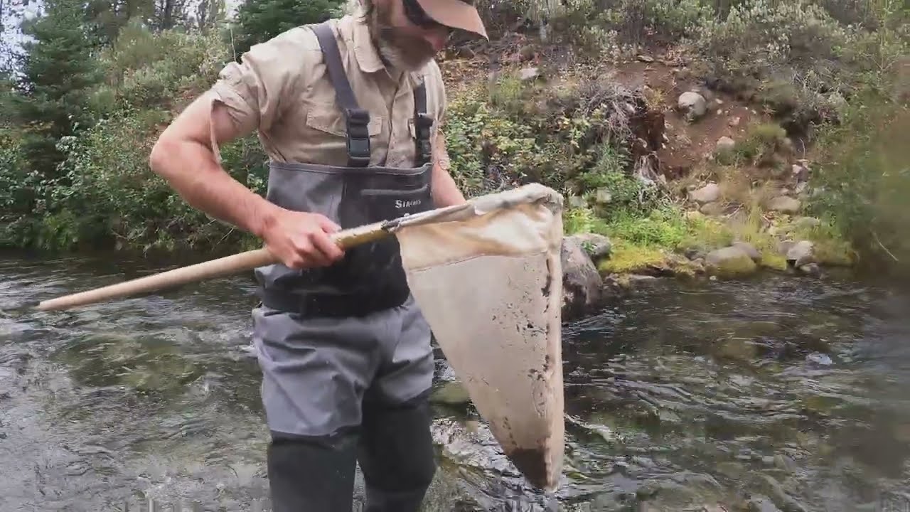 ODFW Benthic Macroinvertebrate Sampling 2022 Tumalo Creek Upper ...