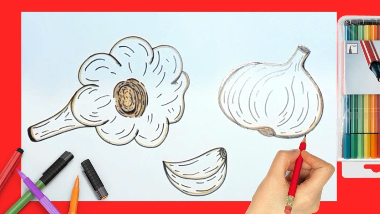 How to Draw Vegetables - Garlic - YouTube