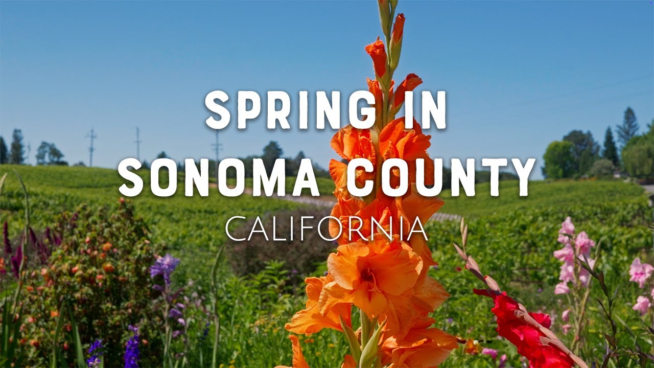 Experience Spring in Sonoma County, California - YouTube