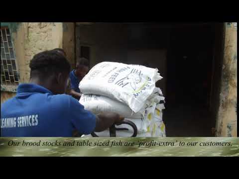 RAANAN - An Extra Value Feed - YouTube