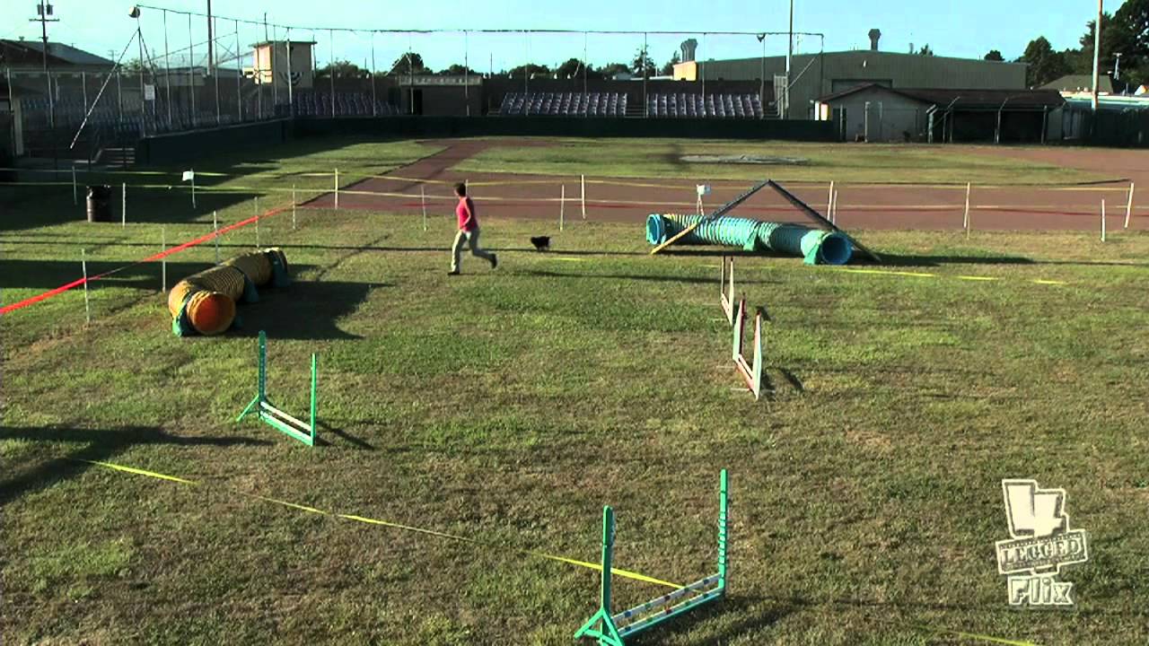 Bambi Fri Jackpot HumDOG CPE Aug 2012 - YouTube