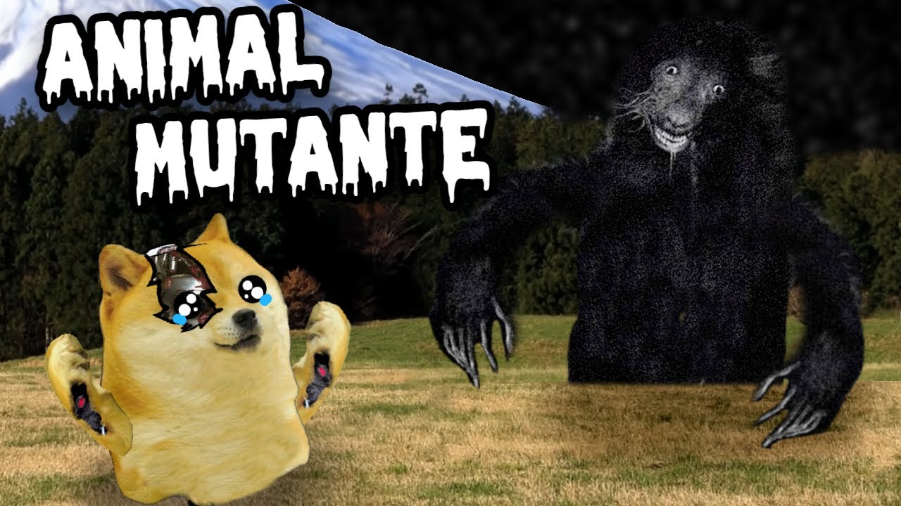 ESO NO ES UN OSO CORRE, UN VIRUS AFECTA A LOS ANIMALES (Unnatural ...