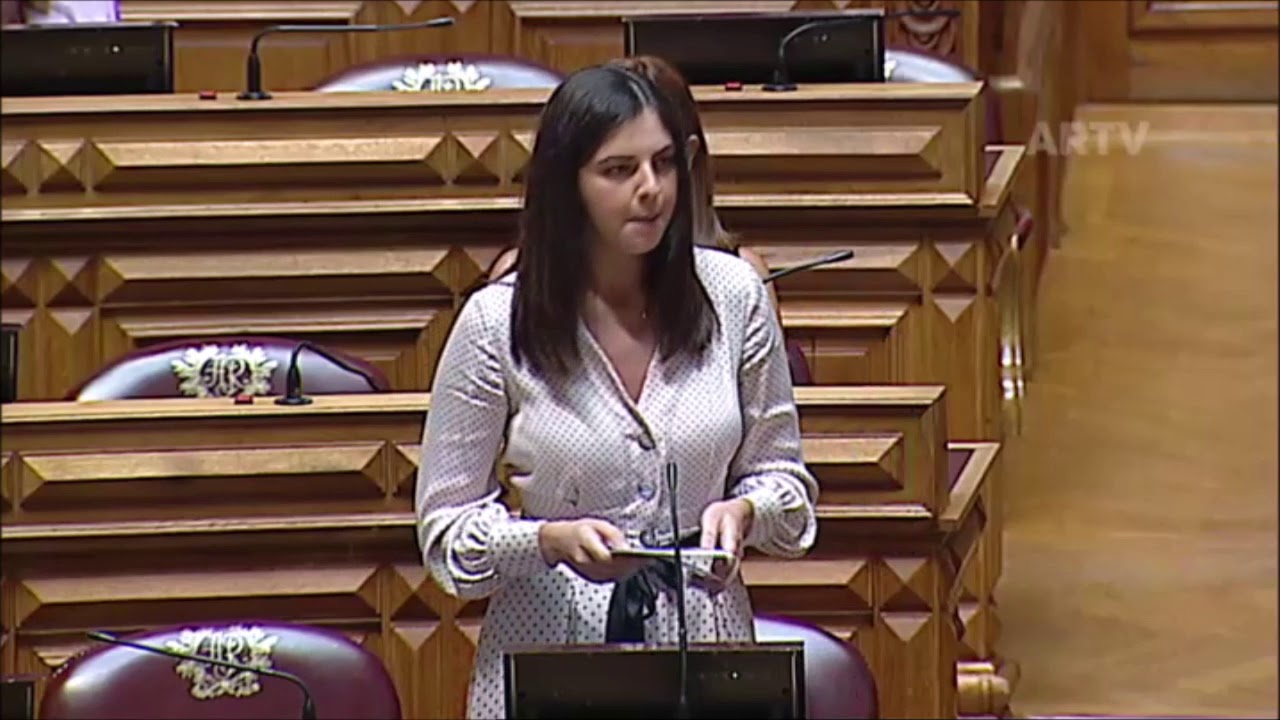 Intervenção de Sofia Matos no Plenário - YouTube