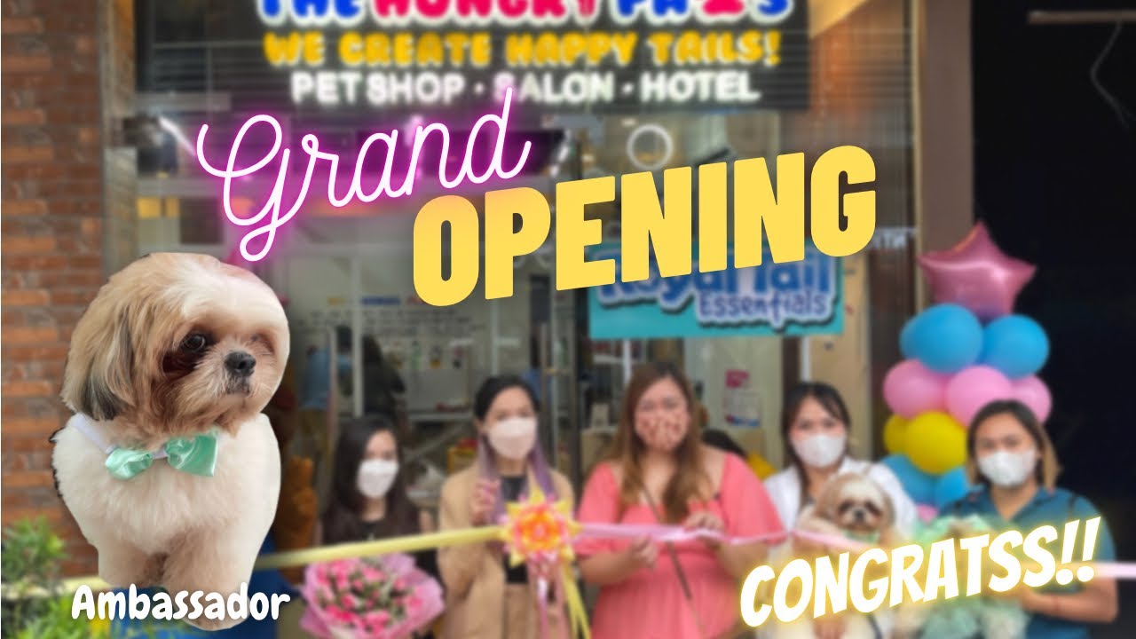 Hungry Paws - Crossroad QC Grand Opening | Panda Pandesal TV - YouTube