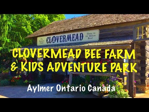 CLOVERMEAD BEE FARM & KIDS ADVENTURE PARK - YouTube