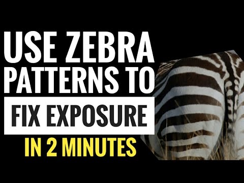 Tutorial: Zebra Patterns on Panasonic Lumix - YouTube