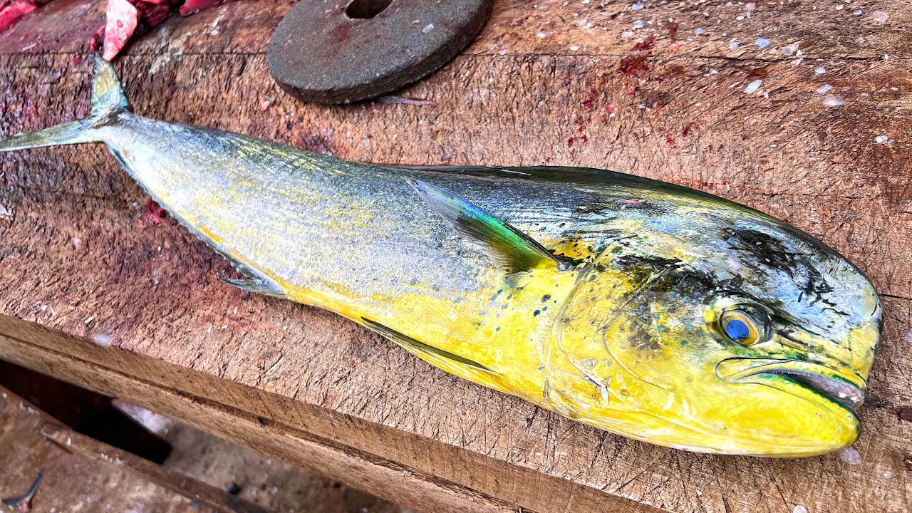 Beautiful Mahi Mahi Fish Cutting | Dolphin Fish Breaking Down into ...