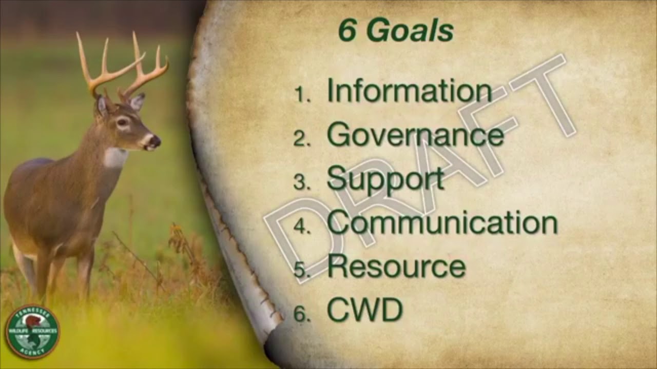 Strategic Deer Management Plan Overview - YouTube