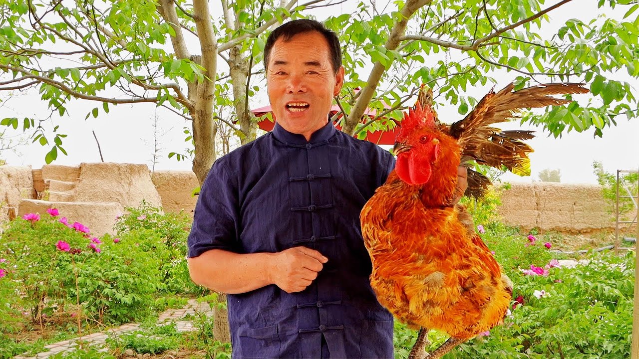 Big Rooster Stewed as“Pot Chicken”Ground Pot Chicken With Best Flavor ...