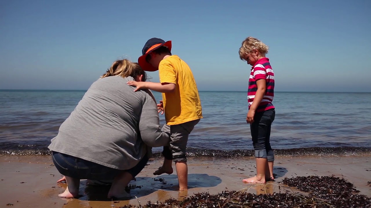 Narragunnawali Awards 2017 – Balnarring Pre-School (Finalist) - YouTube
