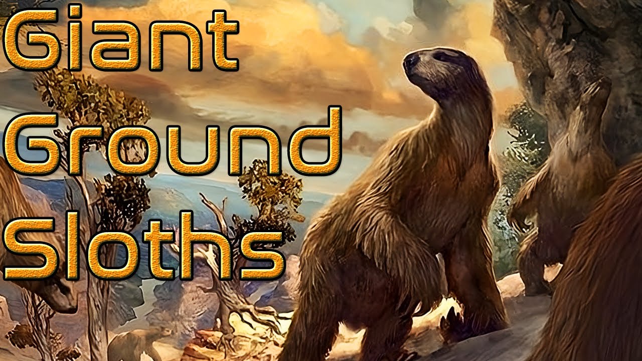The History of Ground Sloths - YouTube