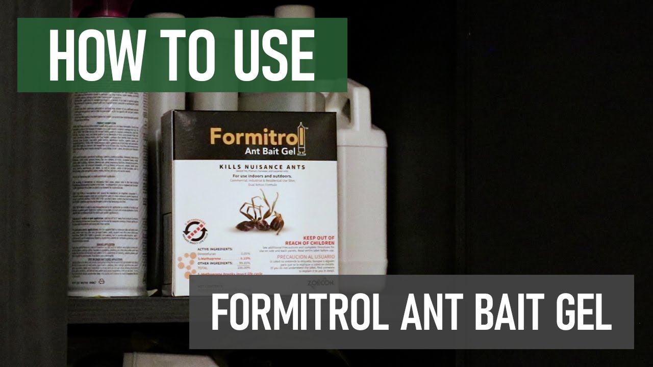 How to Use Formitrol Ant Gel Bait [DIY Ant Control] - YouTube