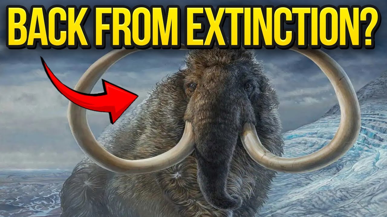 20 Animals that came back from Extinction | Part 2 - YouTube