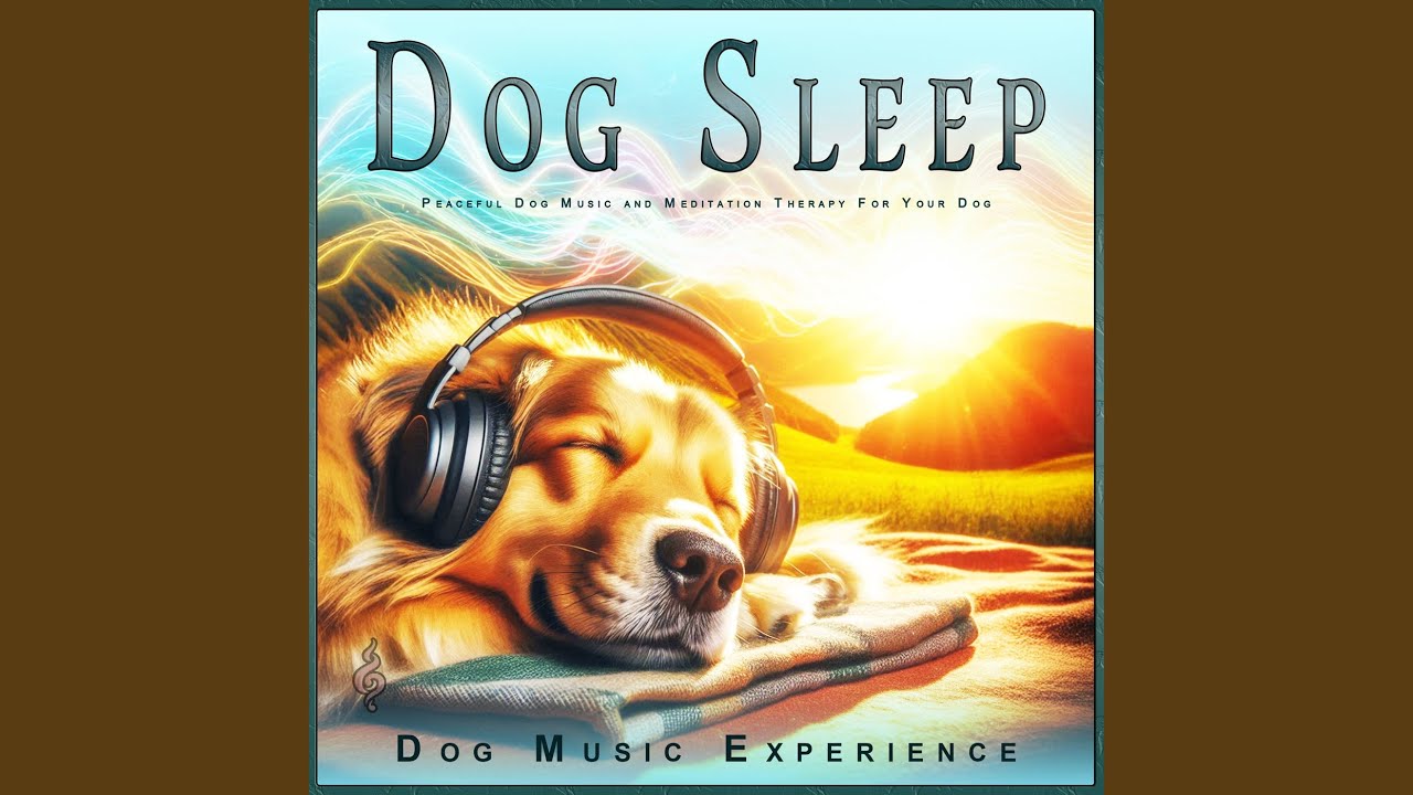 Midnight Dog Lullabies - YouTube
