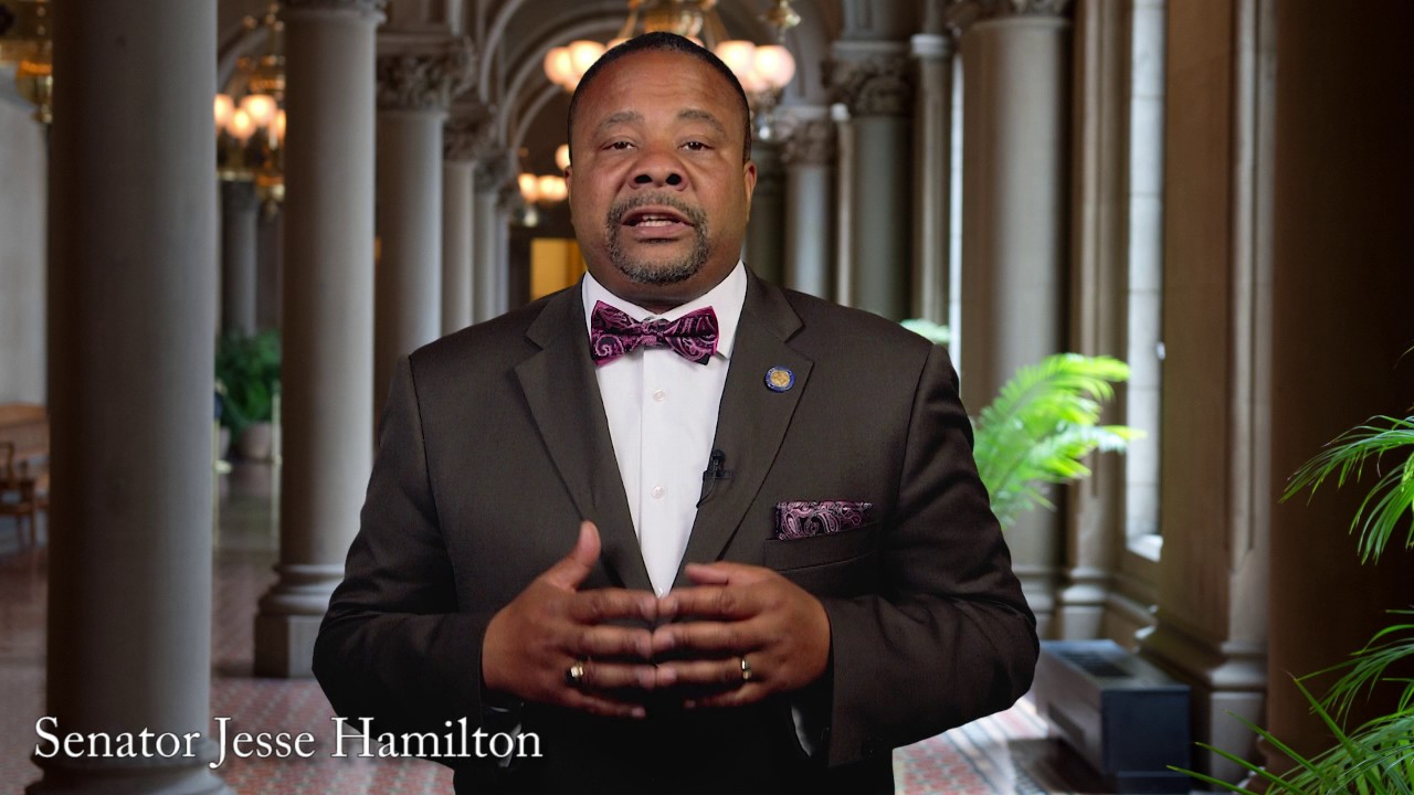 Senator Hamilton addresses Homes Not Shelters - YouTube