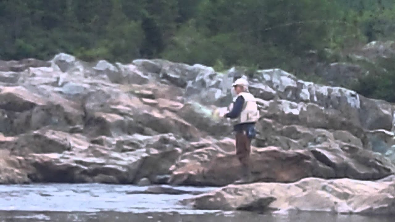 Salmon Fishing on Pipers Hole River near Swift Current, Newfoundland ...