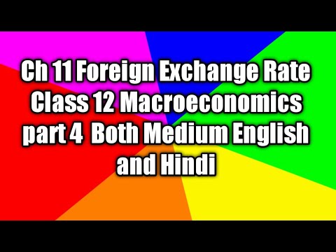 Ch 11 Foreign Exchange Rate Class 12 Macroeconomics part 4 - YouTube