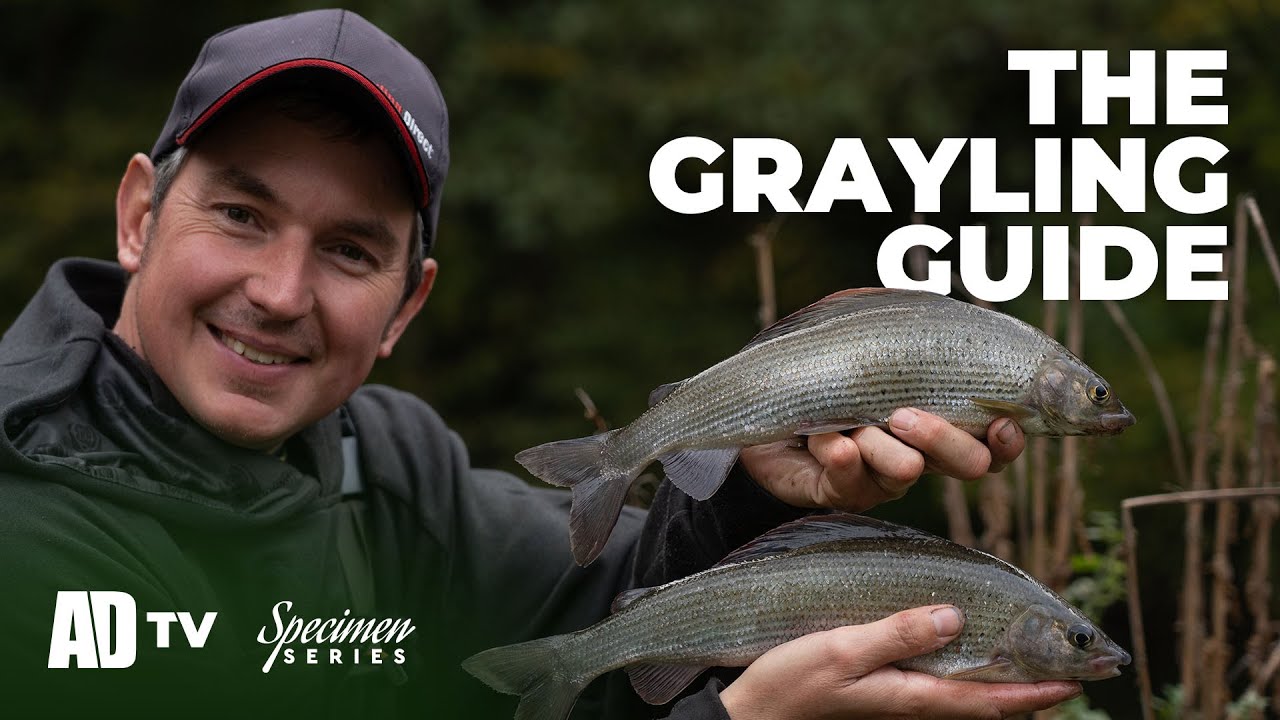 Phil Spinks Specimen Series - Chalk Stream Grayling - YouTube