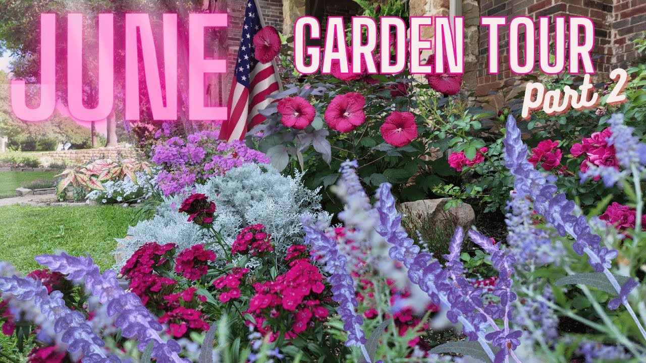 Texas Garden Tour June '24 Part 2 | Gardening in Texas Heat ...