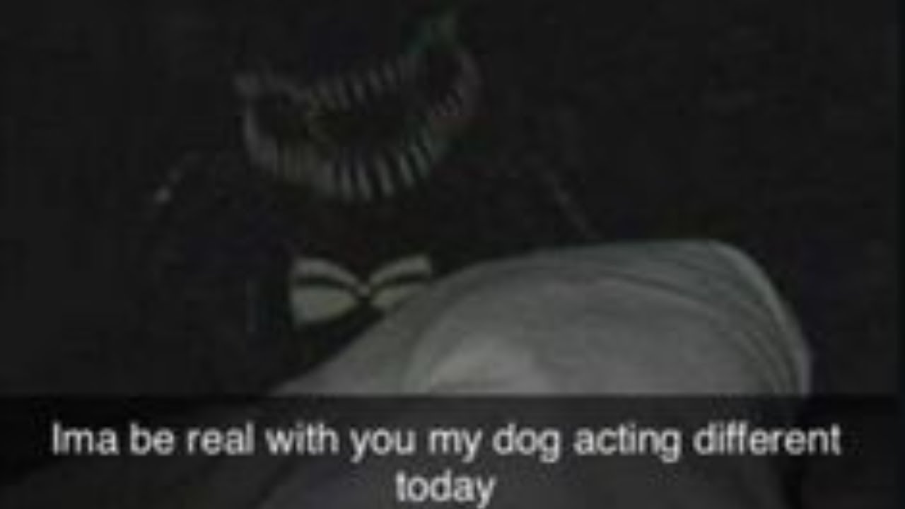 Random memes I permanently borrowed PT.288 - YouTube