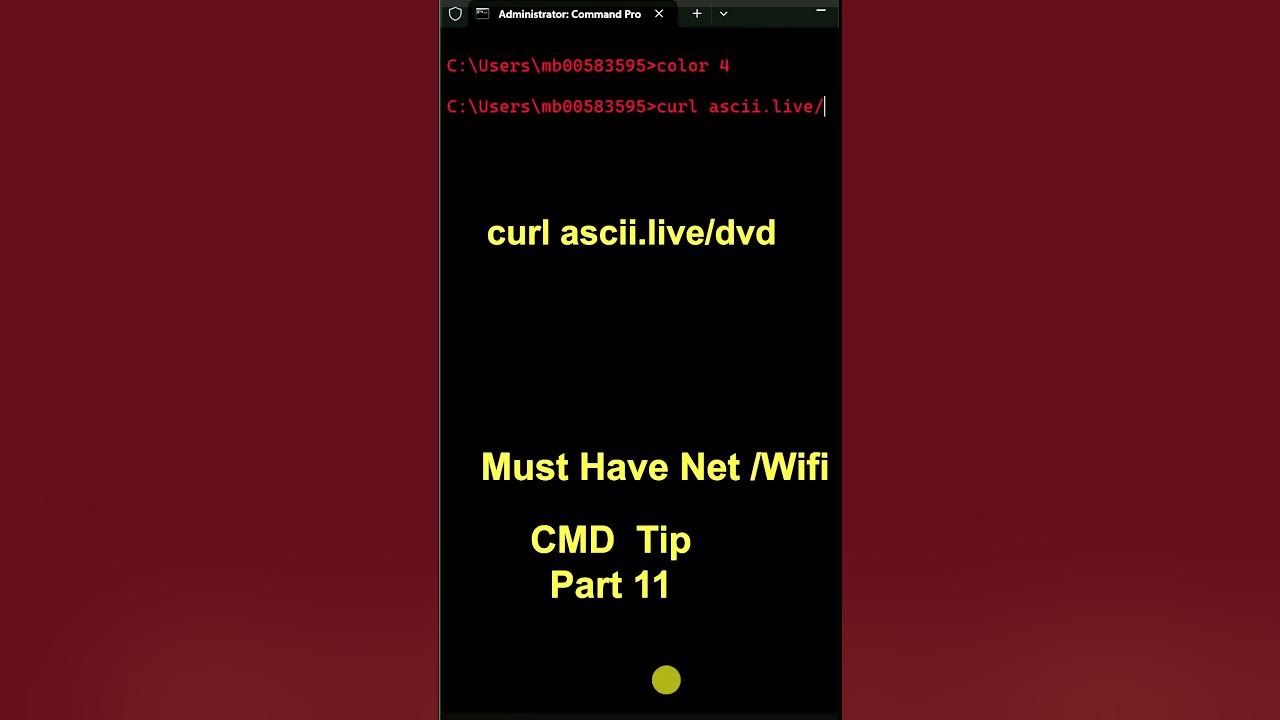 curl ascii live/dvd#curl #curlshot #windows #parrot#curl ascii.live/forrest#curl ascii live ...