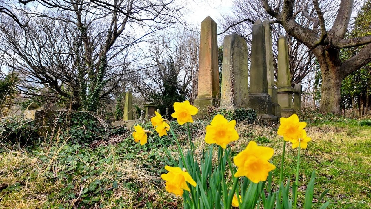 Eerie Stroll Through Edinburgh's Overgrown Dalry Cemetery - YouTube