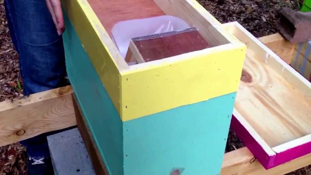 Mid September split - 10 frame to 3 nucs part 2 - YouTube
