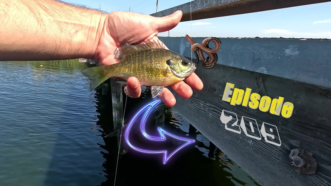 Hunting Bluegill in a known HOTSPOT!! Are they biting?? - YouTube