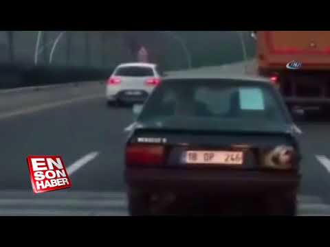 Stop lambasının yerinde köpek başı