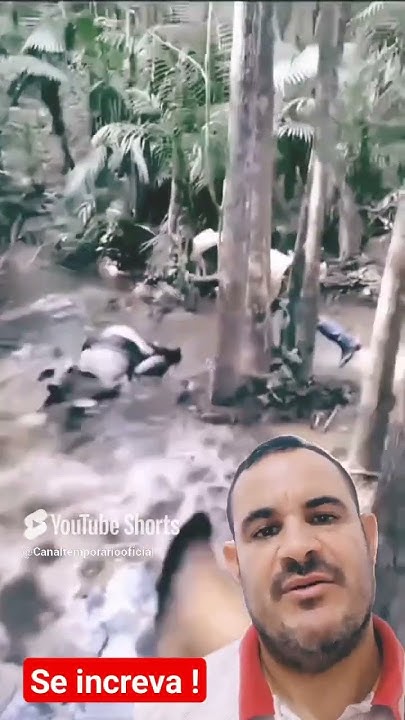 python x cow #biggestpythonintheworld - YouTube