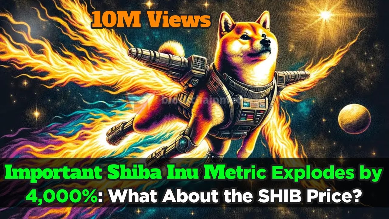 Important Shiba Inu Metric Explodes by 4,000%: What About the SHIB ...