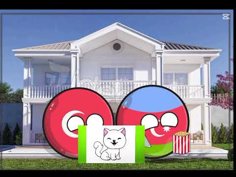 Azerbaycan ve Türkiye kedi gördü