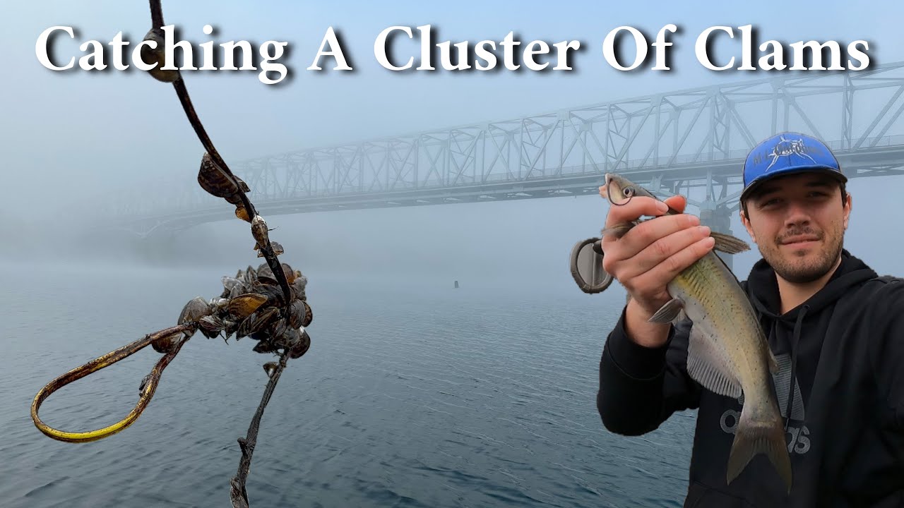 I Caught A CLUSTER Of Clams and Snails At The Ohio River! - YouTube