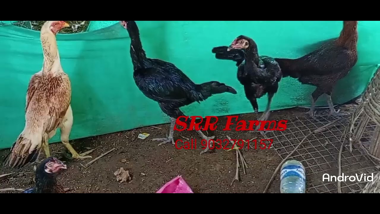 SRR farms Undi Call 90932791157 - YouTube