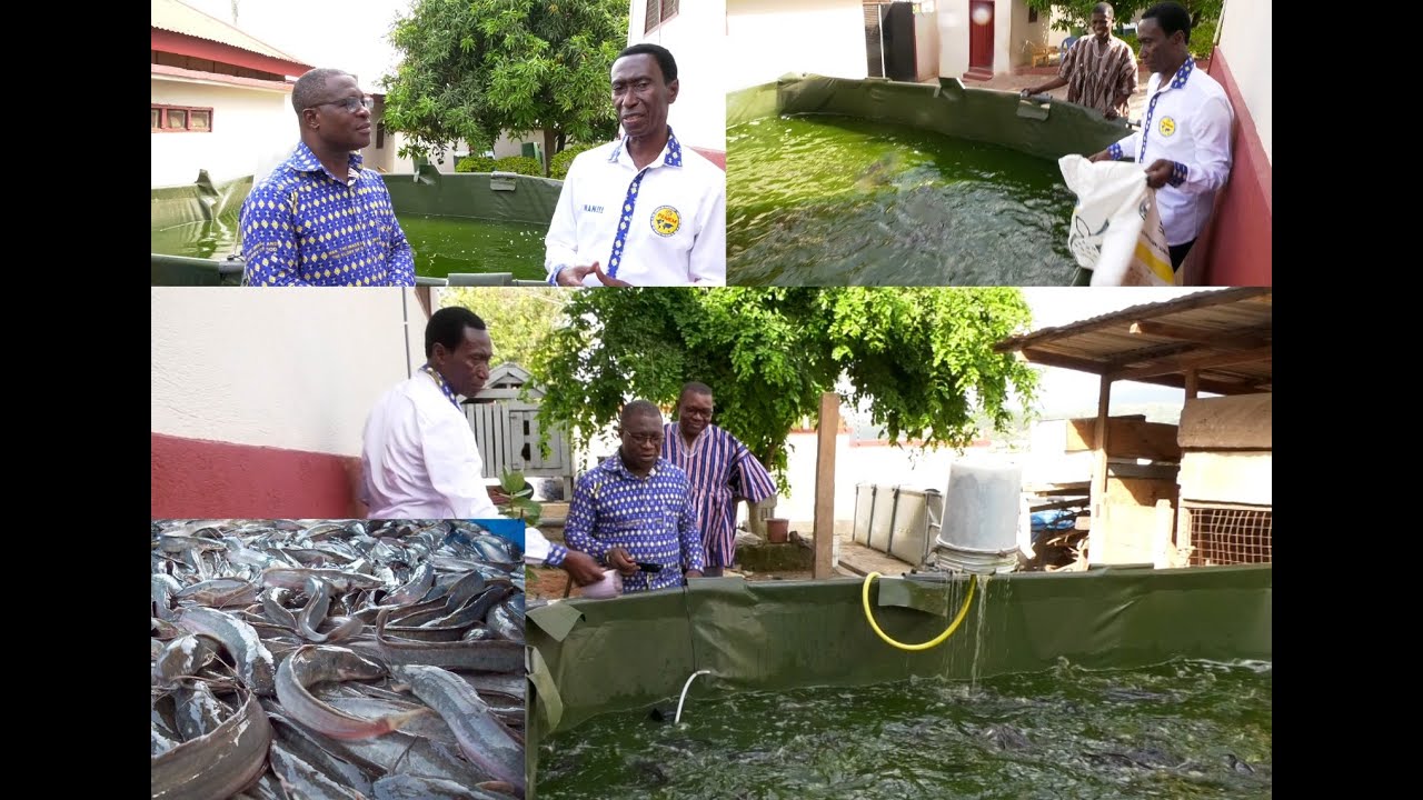 PROPHET KANKAM BEDITOR INTO FISH FARMING PART 3 - YouTube