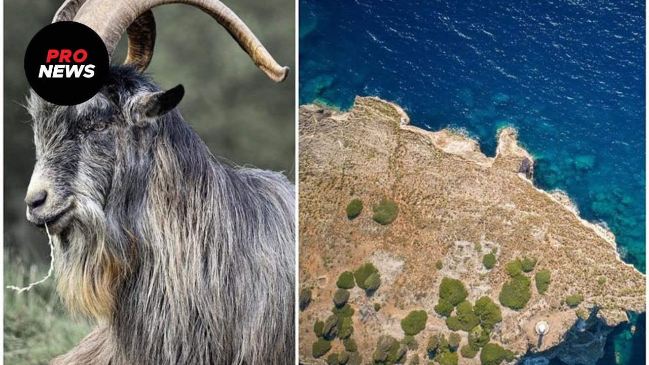 Τουρκία: Εφημερίδα κατηγορεί την Ελλάδα πως εποικίζει ακατοίκητες ...
