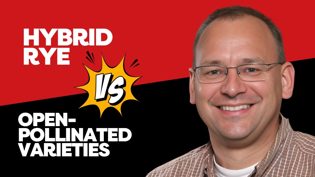 Dr. Jochum Wiersma: Winter Hybrid Rye - YouTube