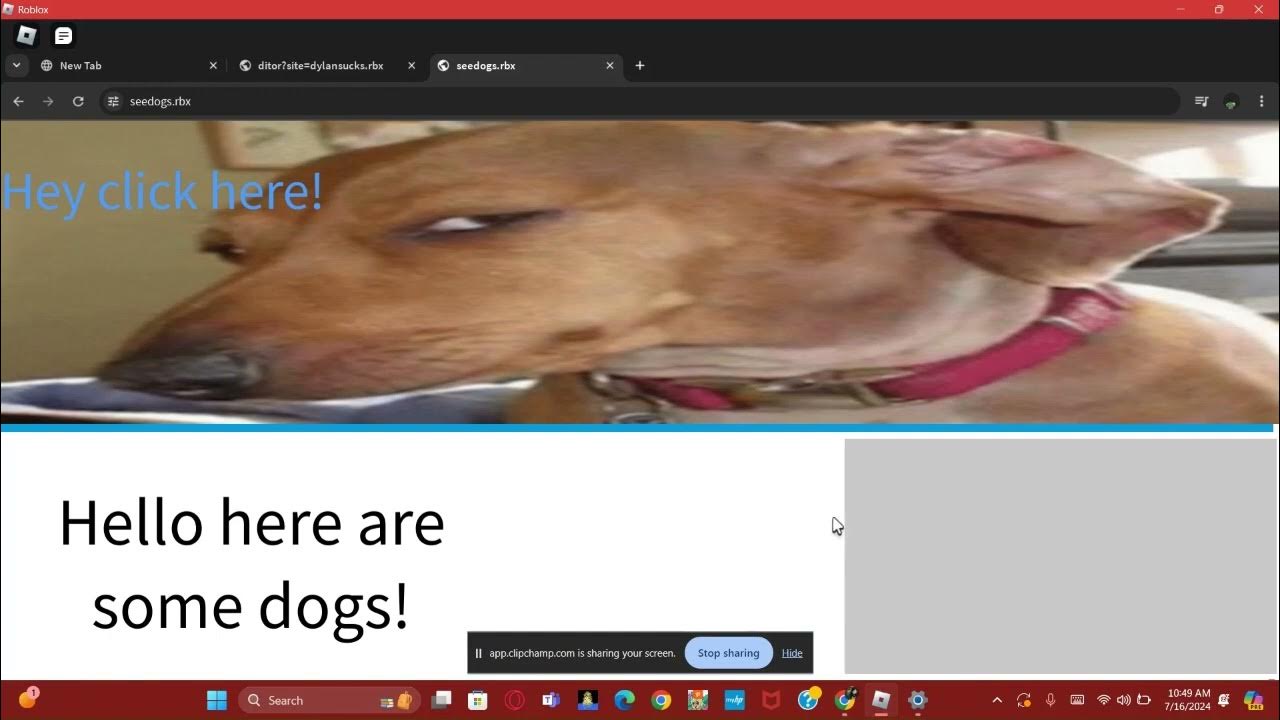 Catweb Roblox Youtube