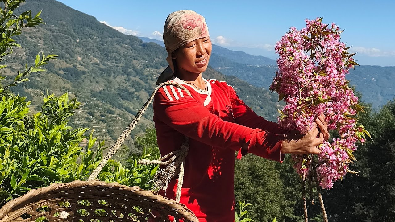 Indu Rai(Limbu) is live🙏🙏 - YouTube