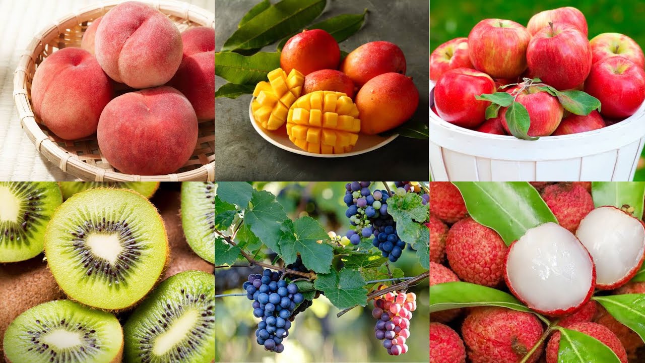 Yummy and juicy fruit pics for profile dp/Fruit profile pictures ...