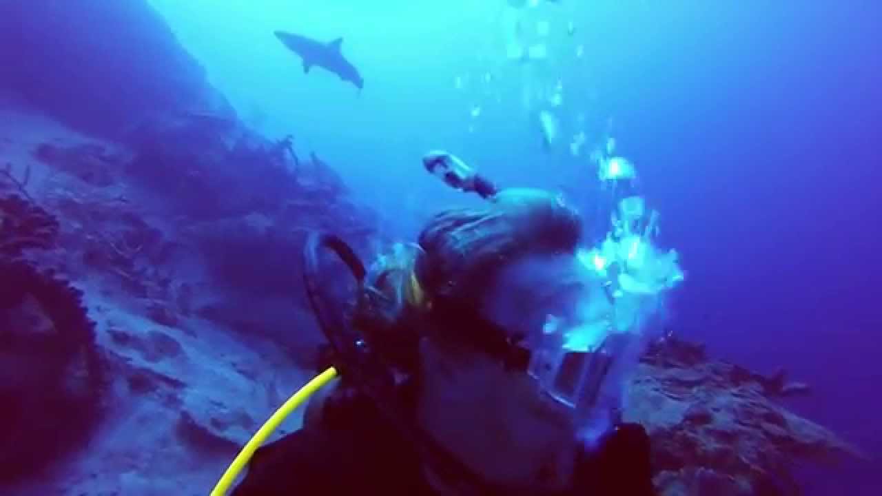Cane Bay family dive is more than just sharks - 26 Dec 14, St Croix ...