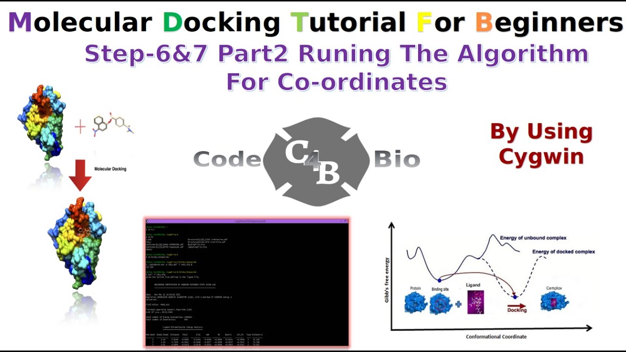 Molecular Docking | Step-6 & 7 Part-2 | Algorithm for Co-ordinates ...