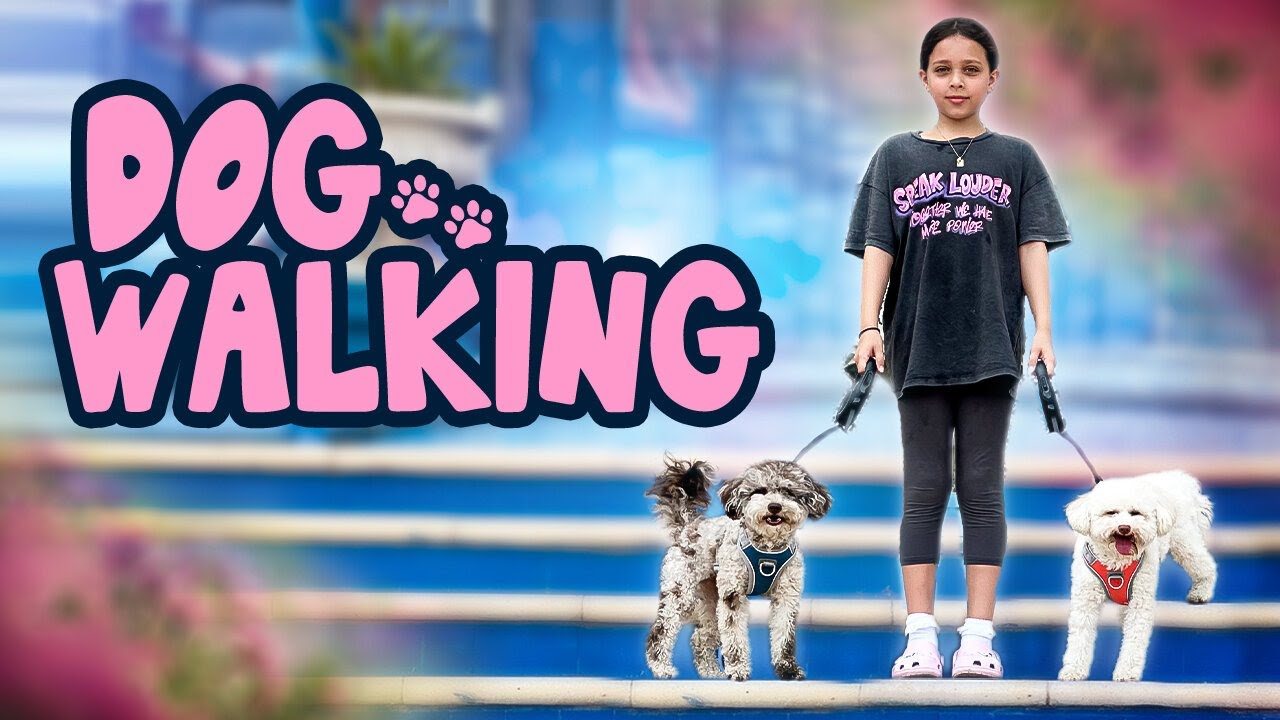 TAKING MY DOGS FOR A WALK IN DUBAI YouTube taking-my-dogs-for-a-walk-in-dubai-youtube